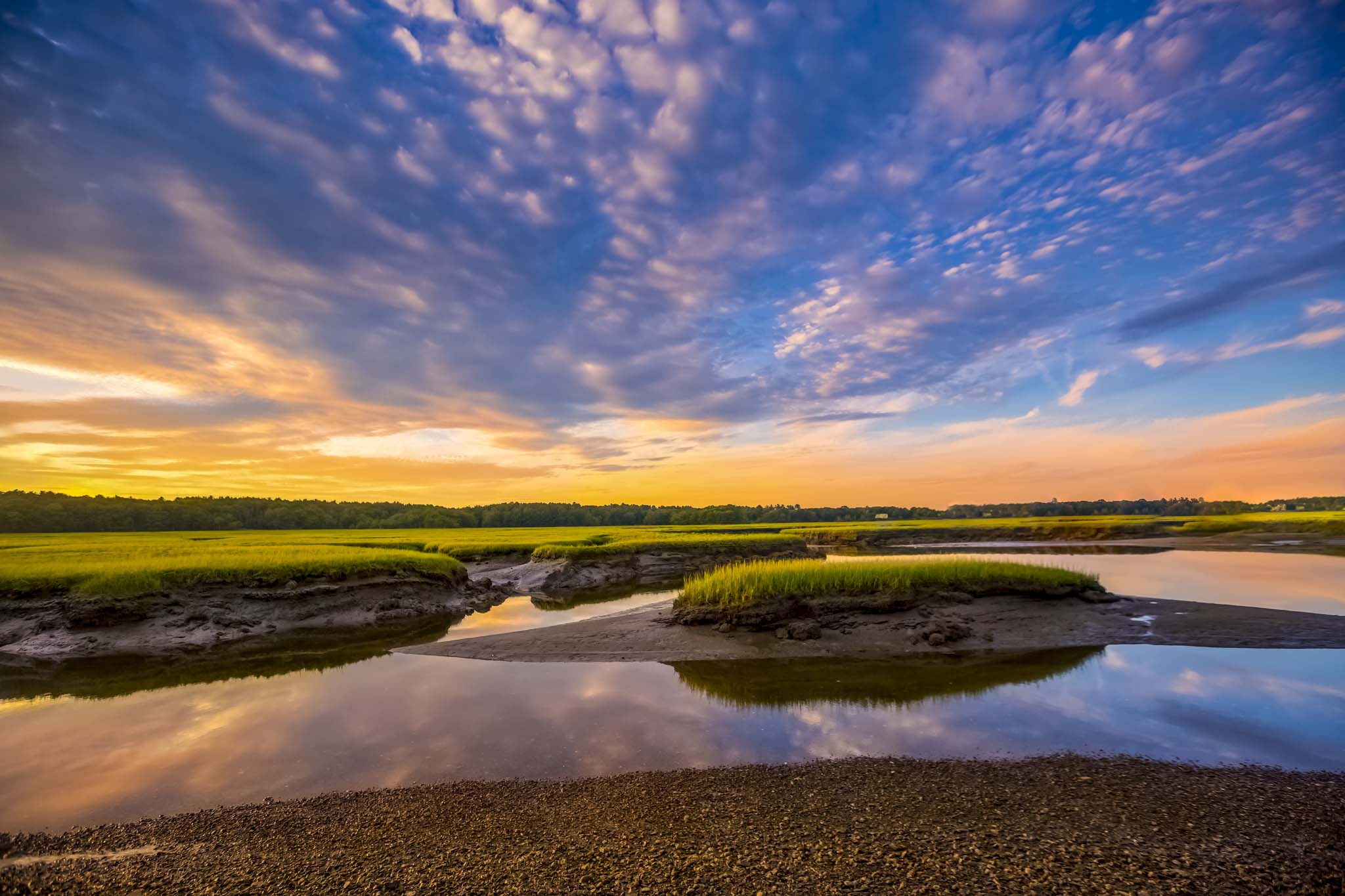 The Marsh – LauraTidwell