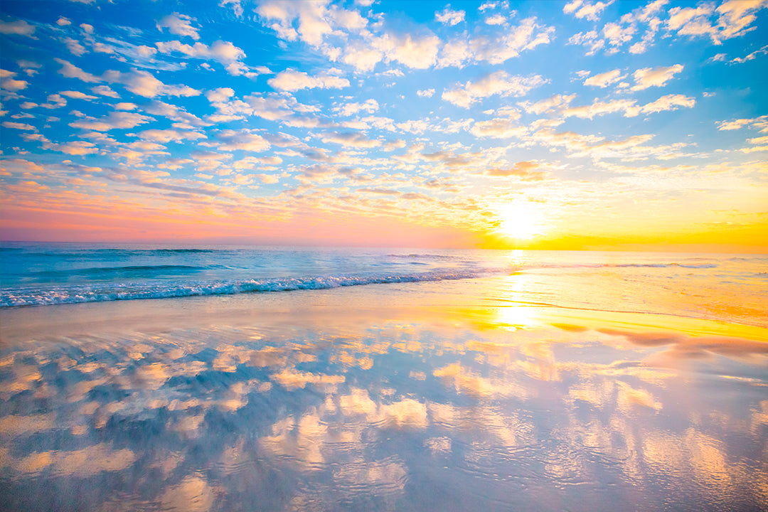 Seascapes – LauraTidwell