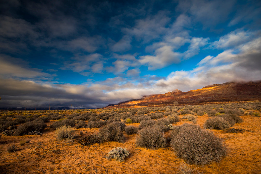Desert Landscapes – LauraTidwell