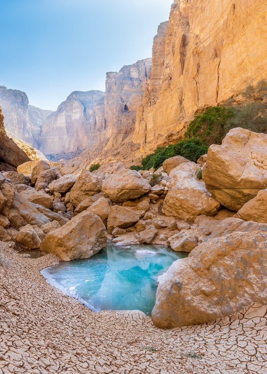 Laura Tidwell — Systems Thinker, Author & Artist – LauraTidwell