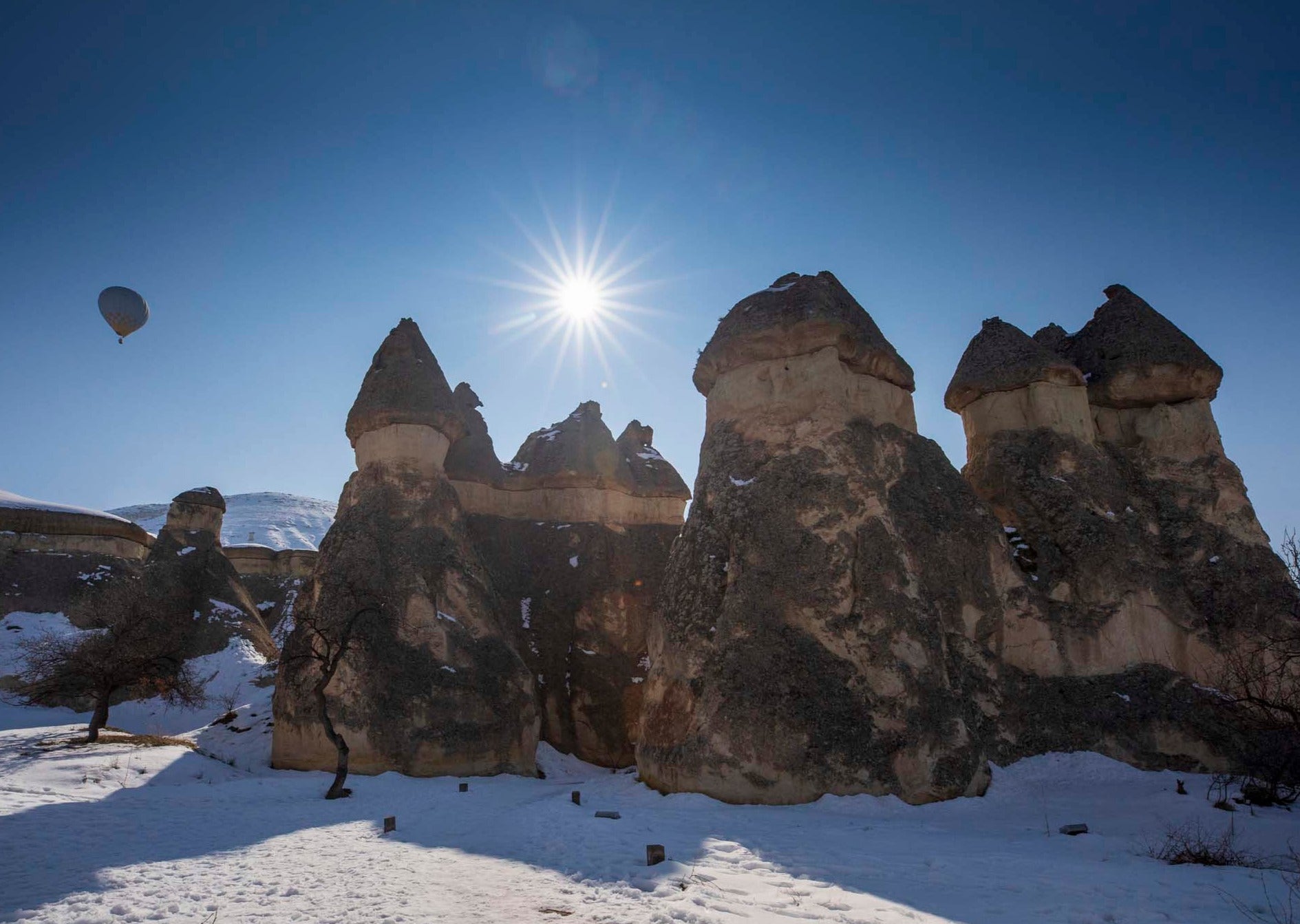 Sparkling Light – LauraTidwell