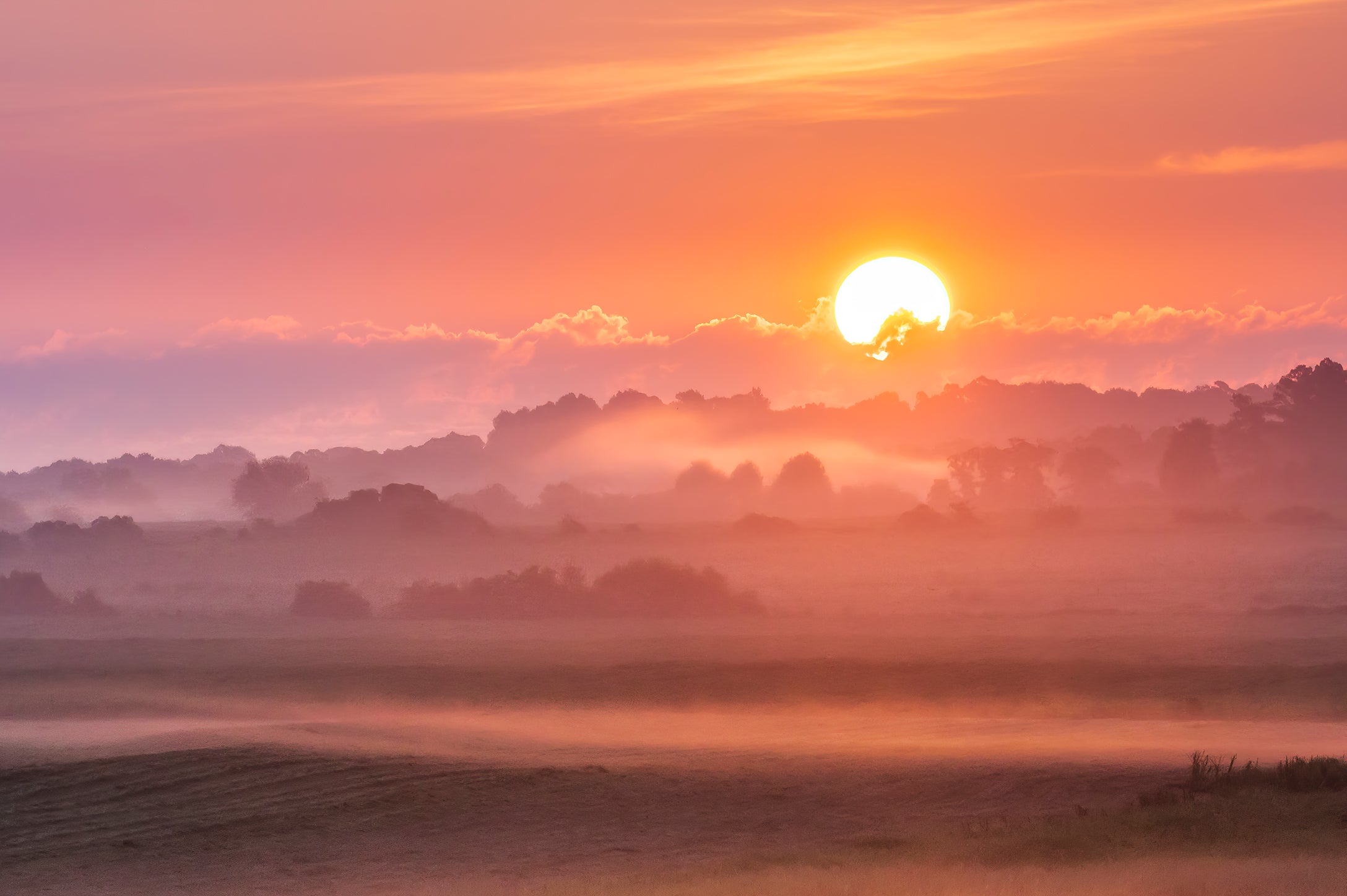 Morning Hills – LauraTidwell