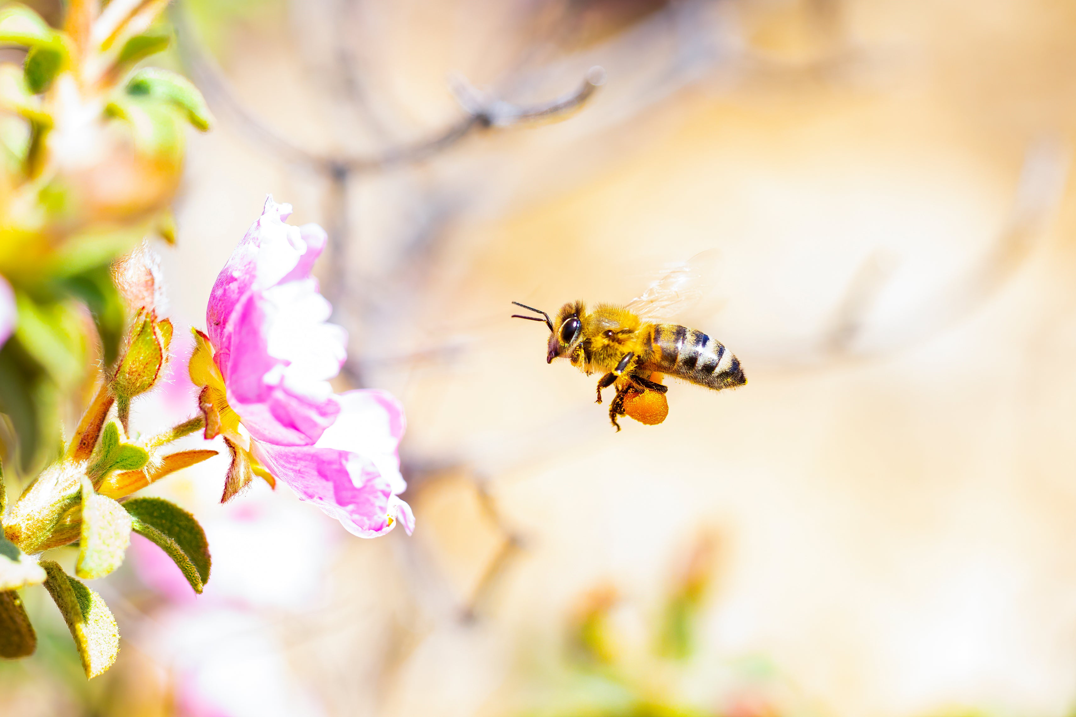 Busy – LauraTidwell