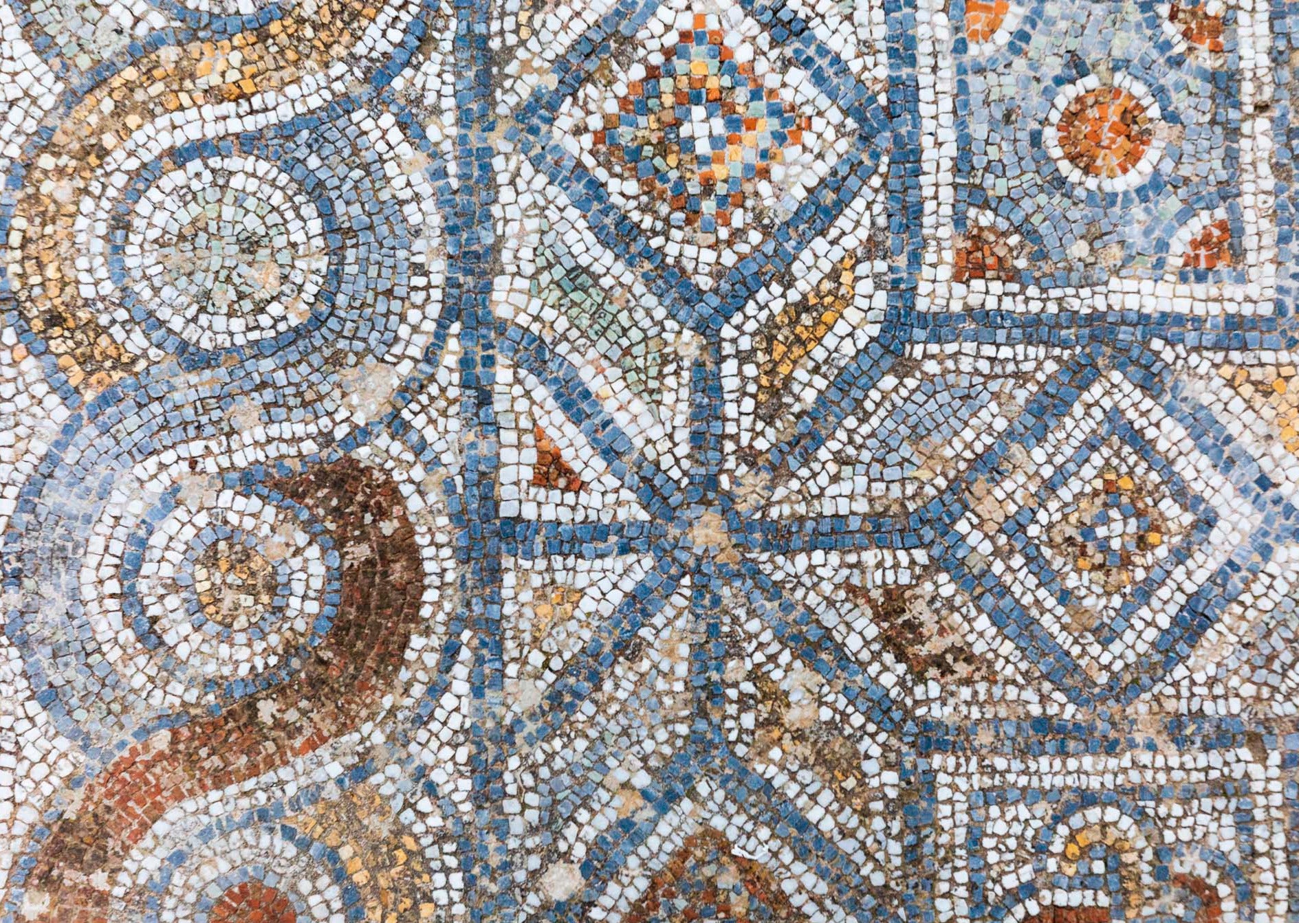 Mosaic – LauraTidwell