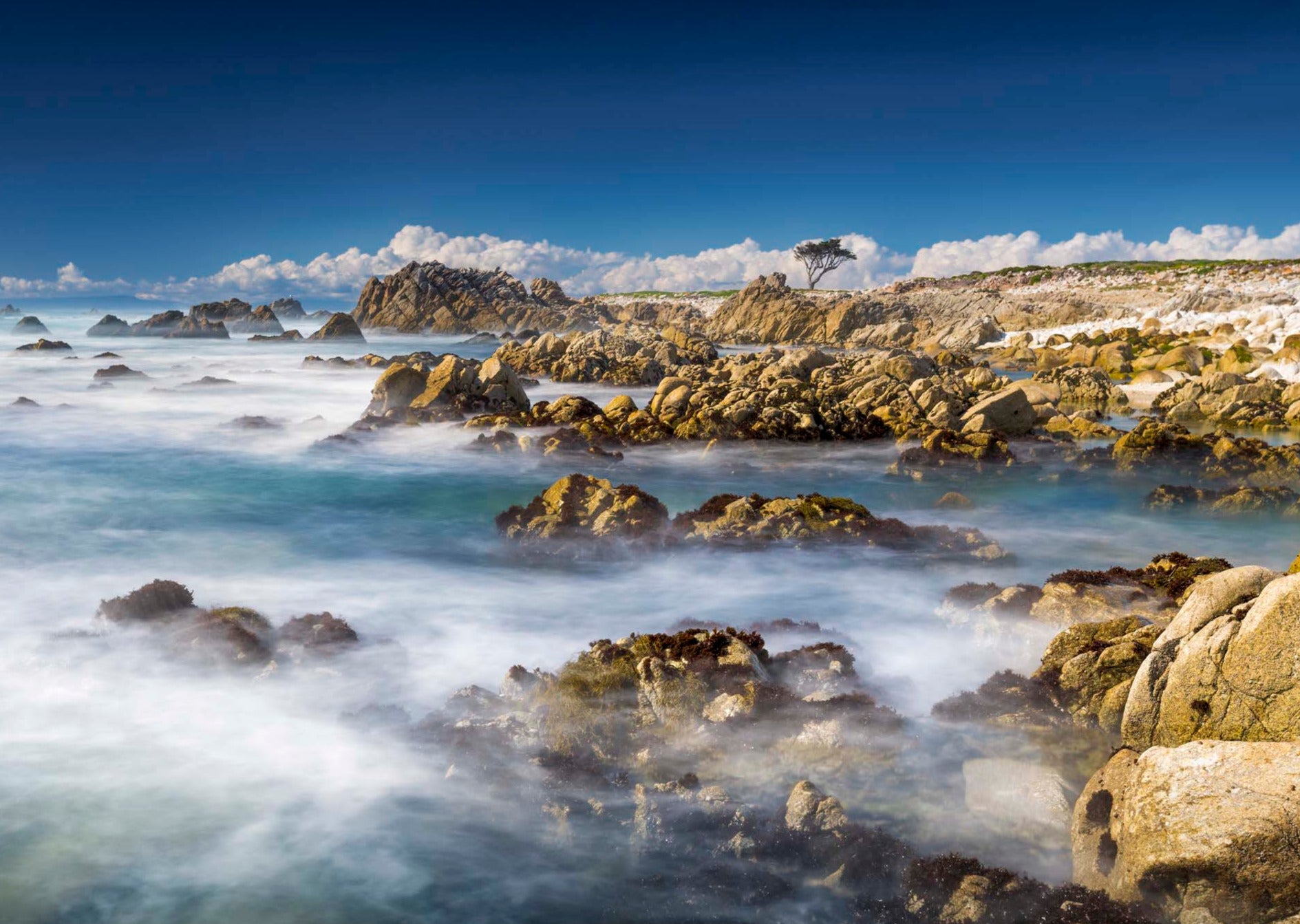 Pacific Coast – LauraTidwell