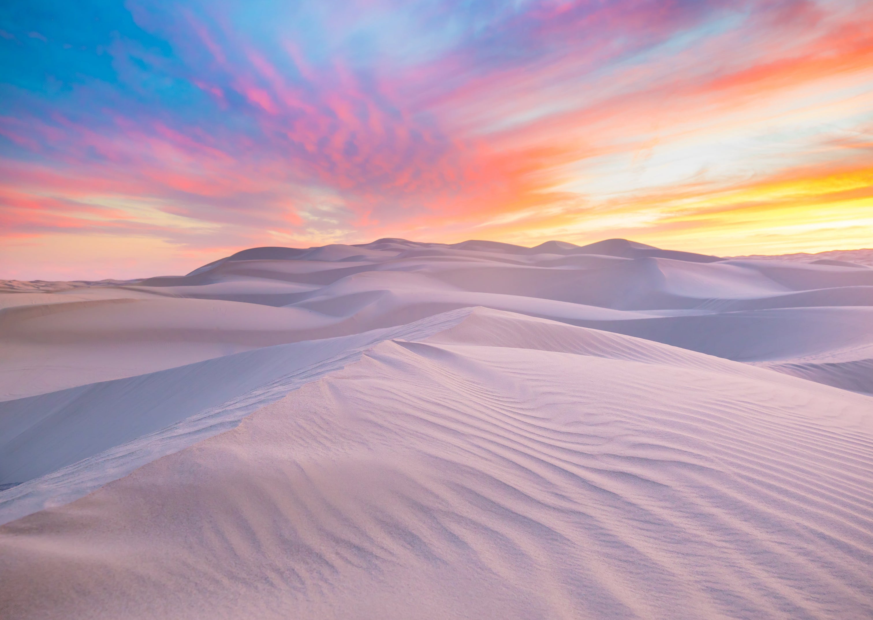 Laura Tidwell — Systems Thinker, Author & Artist – LauraTidwell