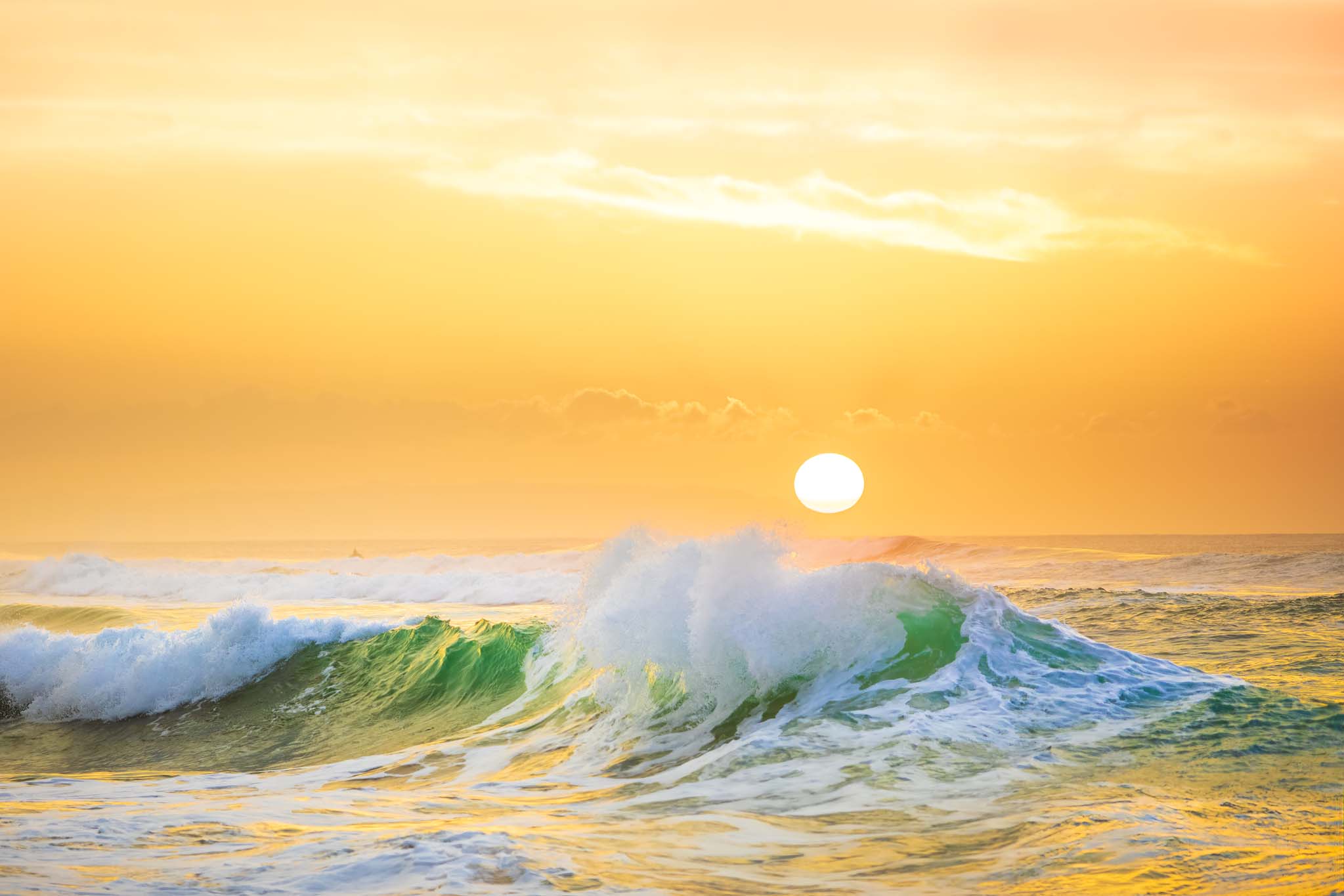 Tropical Seas – LauraTidwell