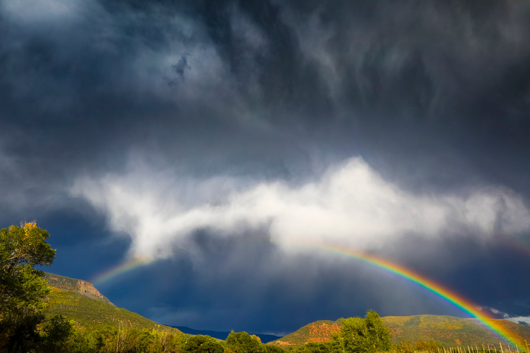 Rainbow – LauraTidwell